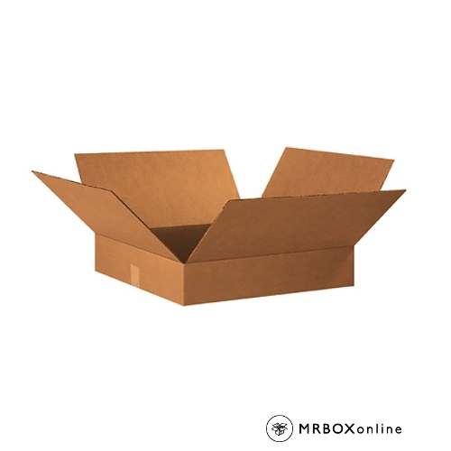 20"x20"x4" Cardboard Shipping Boxes | MrBoxOnline