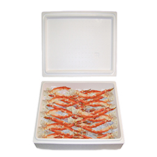 Styrofoam Coolers | Foam Cooler Boxes | MrBoxOnline