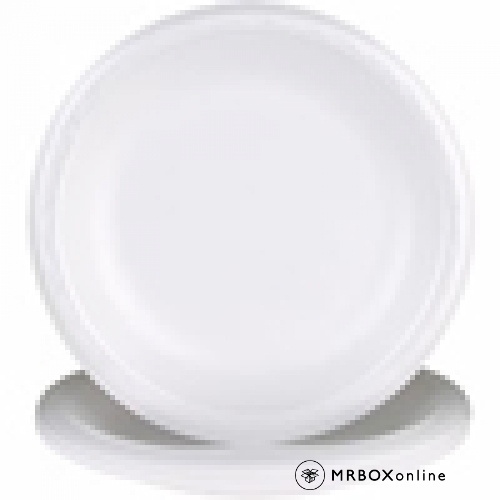 Plastic Plates 9 inch -- Disposable Plates